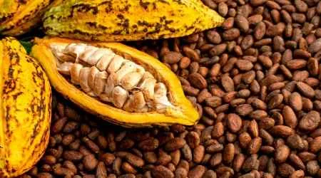 3 ways to invest in cocoa: Risks and how to get started | finder.com