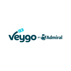 Veygo temporary car insurance review | Pros, cons & cover options