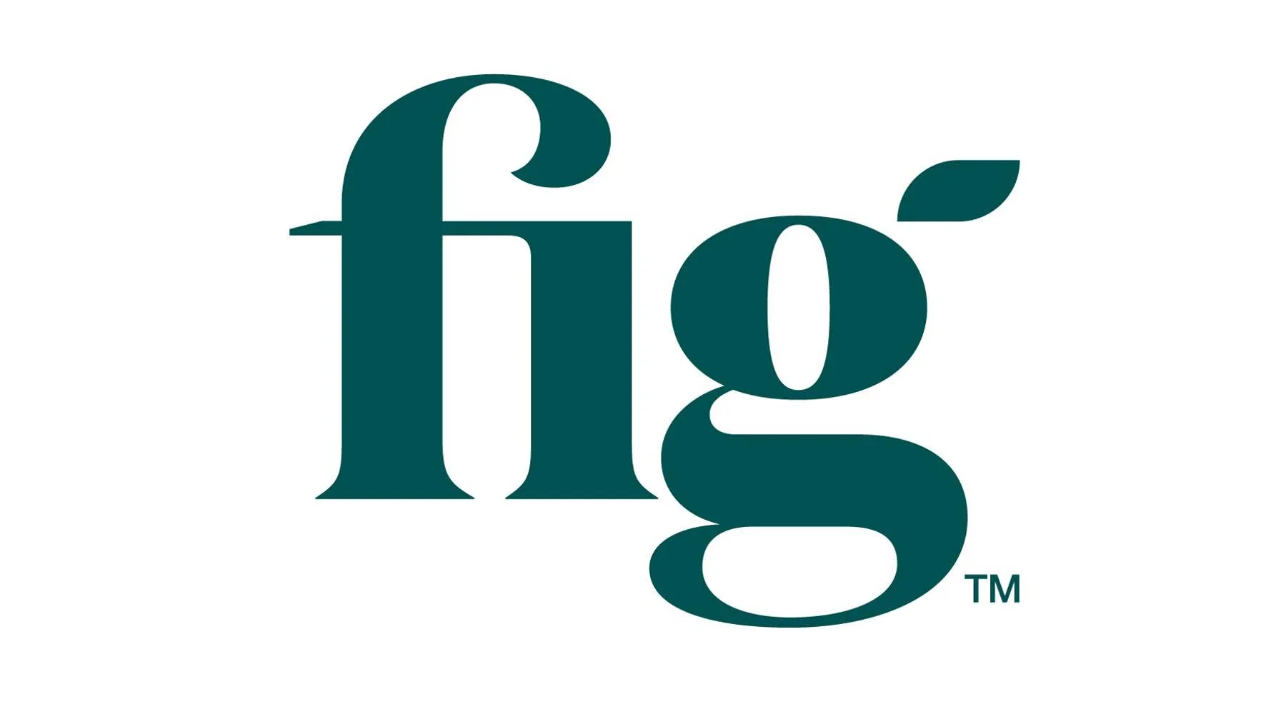 Fig Loans Review: Features, Pros & Cons | Finder Canada